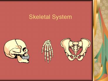 PPT – Skeletal System PowerPoint presentation | free to view - id ...