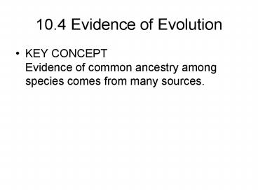 10'4 Evidence of Evolution presentation | free to view