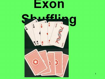 Exon Shuffling presentation | free to view