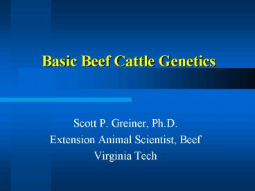 Basic Beef Cattle Genetics presentation | free to view