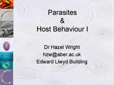Parasites presentation | free to view