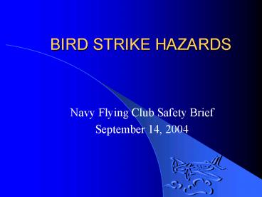 BIRD STRIKE HAZARDS presentation | free to view