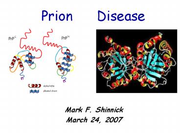 Prion Disease presentation | free to view