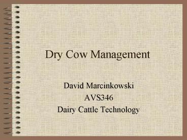 Dry Cow Management presentation | free to view