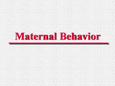Maternal Behavior