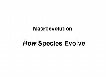 Macroevolution presentation | free to view