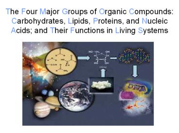 The Four Major Groups of Organic Compounds: Carbohydrates, Lipids ...