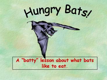 A batty lesson about what bats like to eat' presentation | free to view