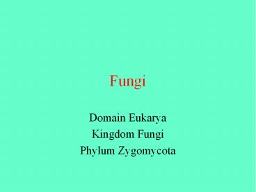 PPT – Fungi PowerPoint presentation | free to download - id: 6bfb2-ZThiZ