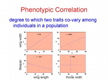 PPT – Phenotypic Correlation PowerPoint presentation | free to view ...