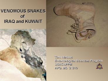 PPT – VENOMOUS SNAKES PowerPoint presentation | free to view - id ...