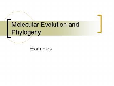 Molecular Evolution and Phylogeny presentation | free to download