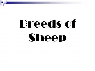 Breeds of Sheep presentation | free to view