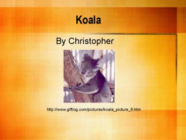 Koala presentation | free to view