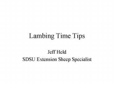 Lambing Time Tips presentation | free to view