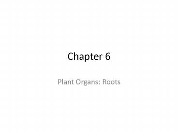 PPT – Plant Organs: Roots PowerPoint presentation | free to view - id ...