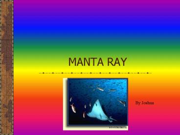 PPT – MANTA RAY PowerPoint presentation | free to view - id: 6e9e5-YTA2O