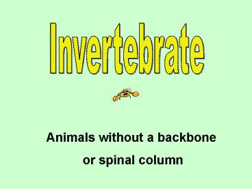 Invertebrate presentation | free to view