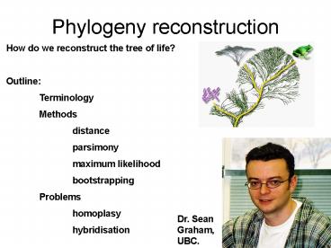 PPT – Phylogeny reconstruction PowerPoint presentation | free to ...