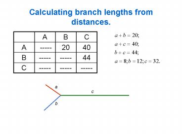 Calculating branch lengths from distances. presentation | free to download