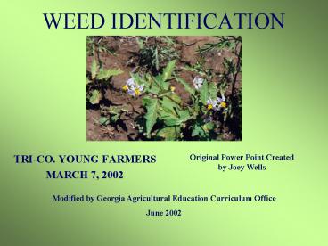 WEED IDENTIFICATION presentation | free to view