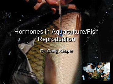 Hormones in Aquaculture/Fish Reproduction presentation | free to view