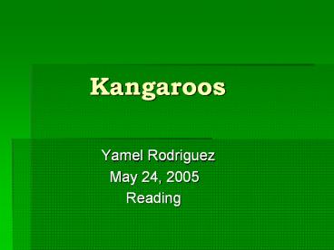 Kangaroos presentation | free to view