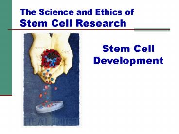 Stem Cell Development presentation | free to view