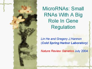 MicroRNAs: Small RNAs With A Big Role In Gene Regulation presentation ...