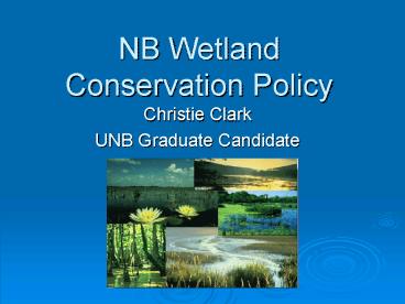 PPT – NB Wetland Conservation Policy PowerPoint presentation | free to ...