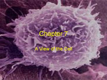 A View of the Cell presentation | free to download