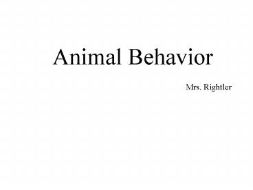 Animal Behavior presentation | free to download