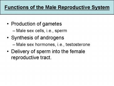 PPT – Functions of the Male Reproductive System PowerPoint presentation ...