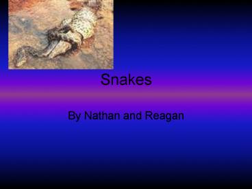 Snakes presentation | free to view