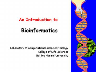 An Introduction to Bioinformatics presentation | free to view