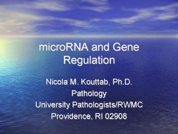 PPT – microRNA and Gene Regulation PowerPoint presentation | free to ...
