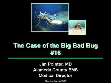 The Case of the Big Bad Bug presentation | free to view