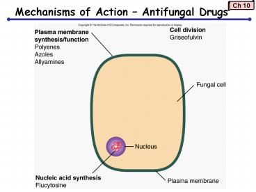 Mechanisms of Action Antifungal Drugs presentation | free to view