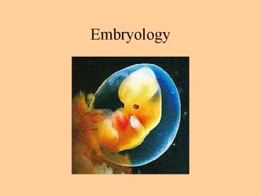 Embryology presentation | free to view