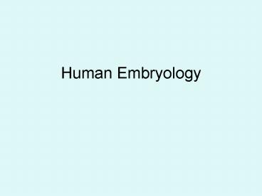 PPT – Human Embryology PowerPoint presentation | free to view - id ...