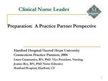 Clinical Nurse Leader presentation | free to view