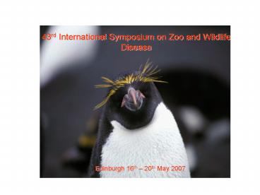 PPT – Diagnostic imaging in penguins PowerPoint presentation | free to ...