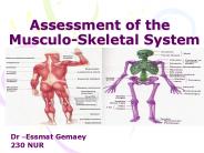 PPT – Musculoskeletal System PowerPoint presentation | free to download ...