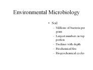 PPT – Environmental Microbiology PowerPoint presentation | free to ...