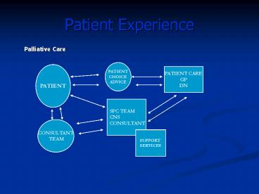 Patient Experience presentation | free to view