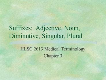 Suffixes: Adjective, Noun, Diminutive, Singular, Plural presentation ...
