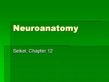 PPT – Neuroanatomy PowerPoint presentation | free to view - id: 816e0-ZDc1Z