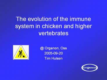The evolution of the immune system in chicken and higher vertebrates ...