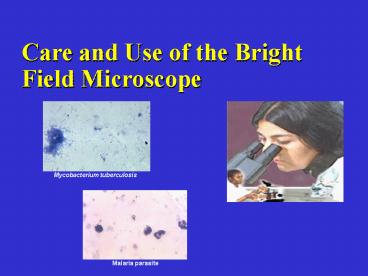 PPT – Care and Use of the Bright Field Microscope PowerPoint ...