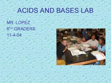 PPT – ACIDS AND BASES LAB PowerPoint presentation | free to view - id ...